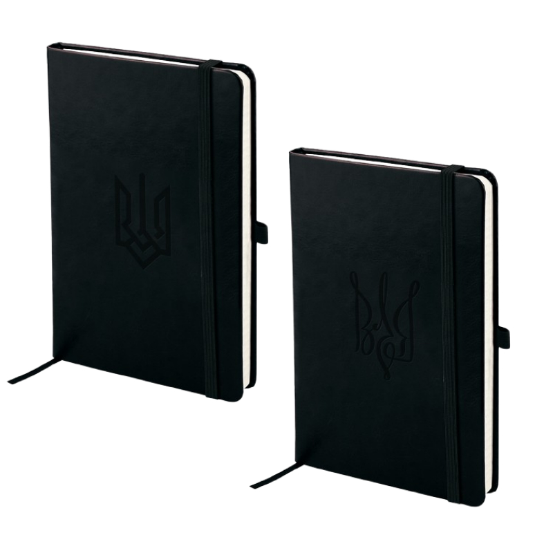 Книга записна Partner Lux, чорна, клітинка,12,5х19,5 см, 96 л., Axent